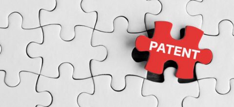 Everything You Need to Know About Patent Exclusive Rights