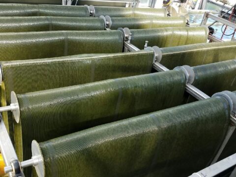 Starting An Algae Farm