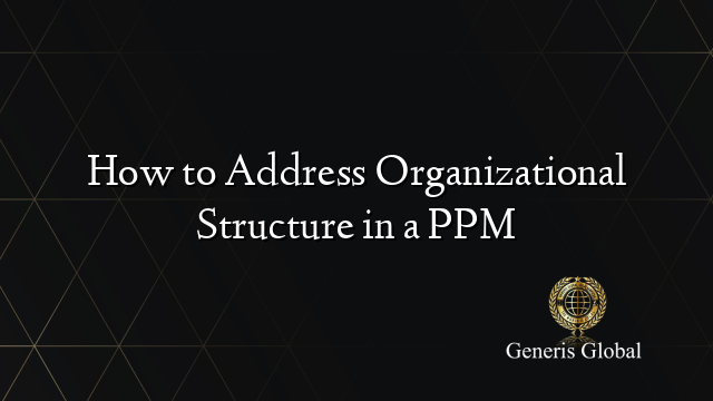 How to Address Organizational Structure in a PPM