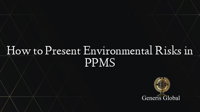 How to Present Environmental Risks in PPMS