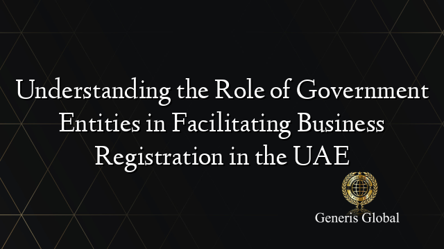 Understanding the Role of Government Entities in Facilitating Business ...