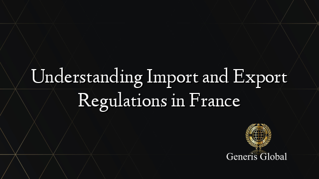 Understanding Import and Export Regulations in France