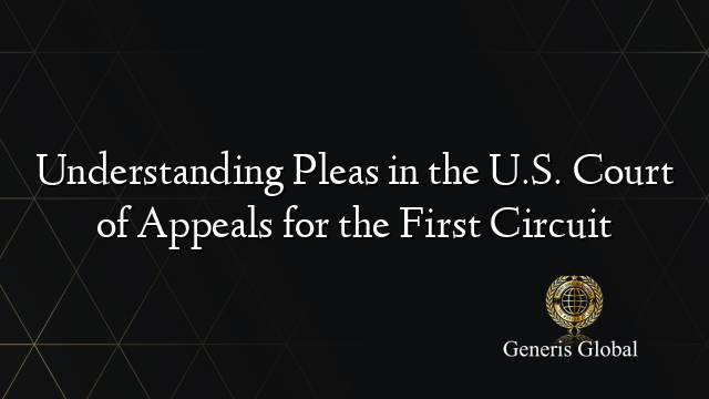 Understanding Pleas in the U.S. Court of Appeals for the First Circuit