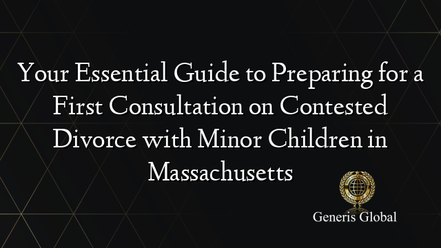 Your Essential Guide to Preparing for a First Consultation on Contested ...